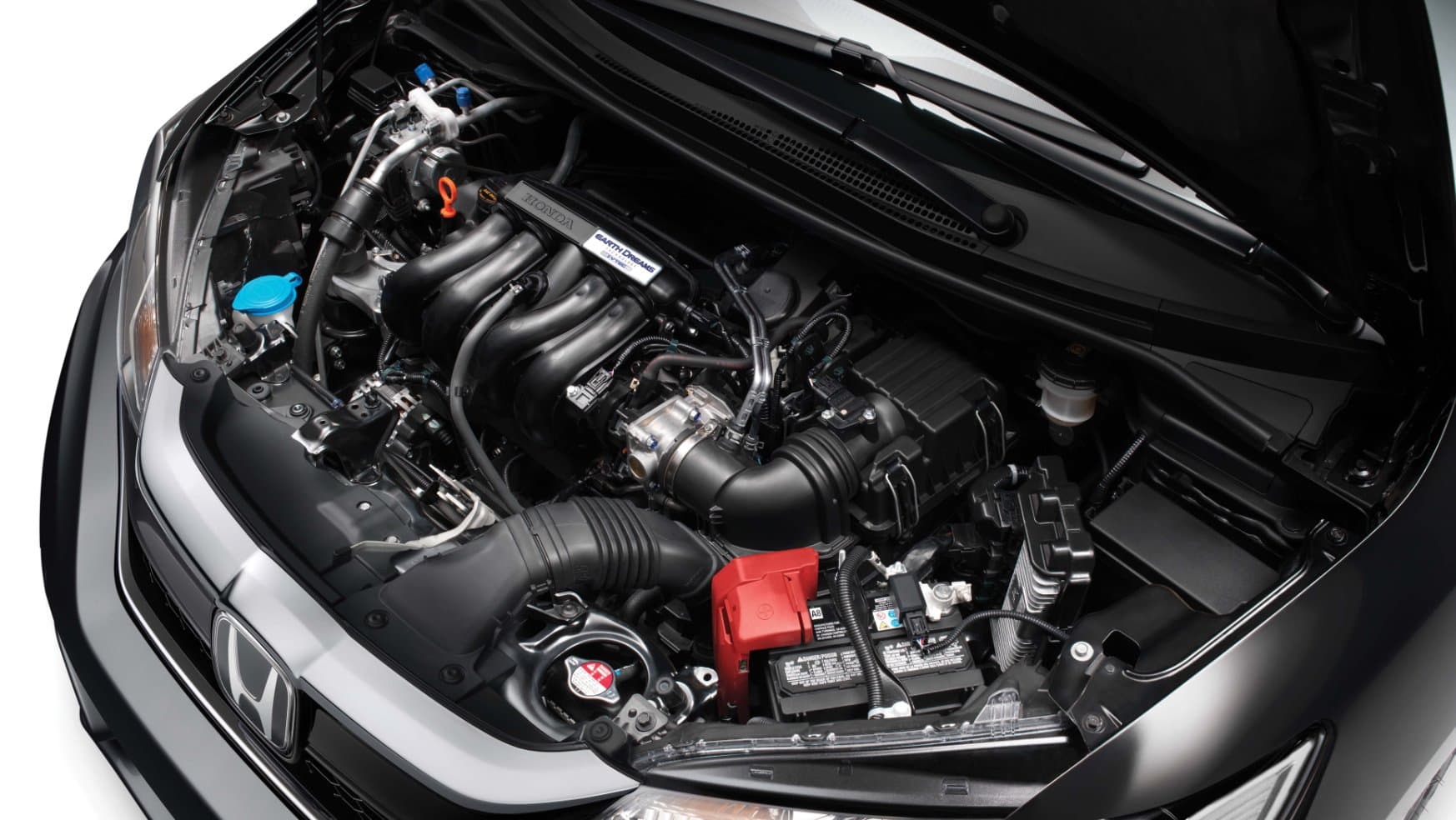 Fit | Hondalatincaribbean - Master